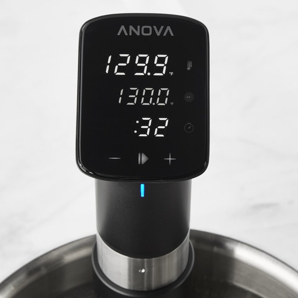 Anova Precision Cooker Pro - Sous Vide Cooker | Williams Sonoma AU