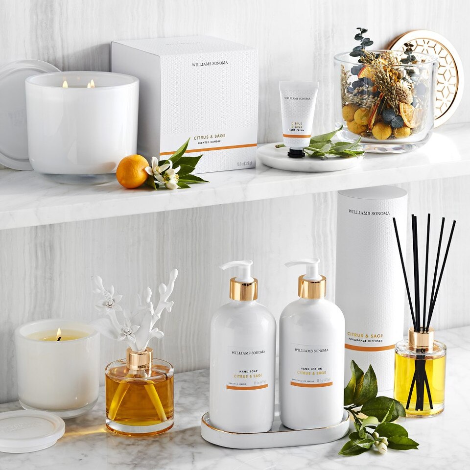 Home Fragrance Porcelain Diffuser, Citrus & Sage - Williams Sonoma ...