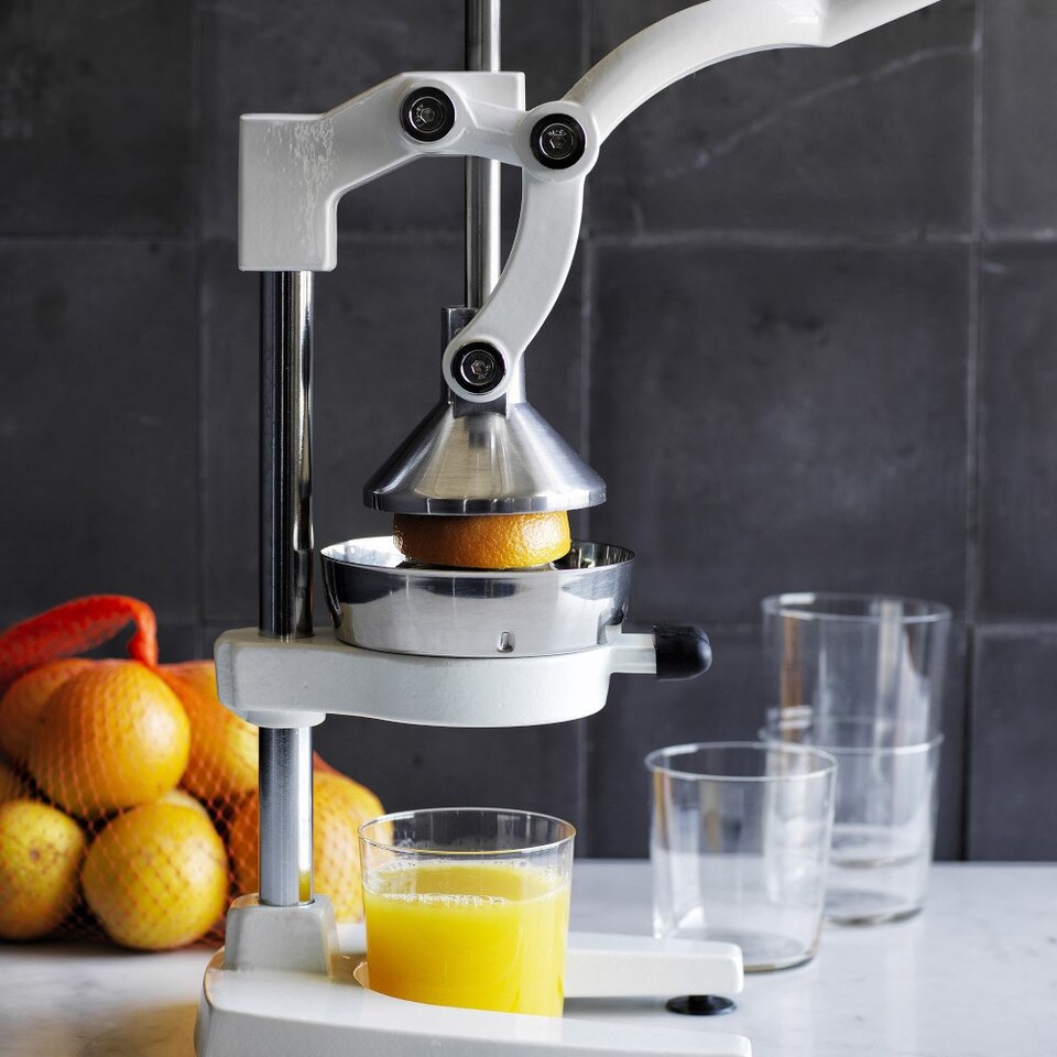 OrangeX Juicer - Williams Sonoma Australia