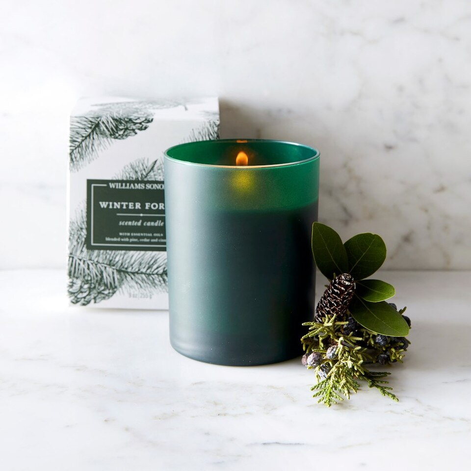 Williams Sonoma Winter Forest Candle - Williams Sonoma Australia